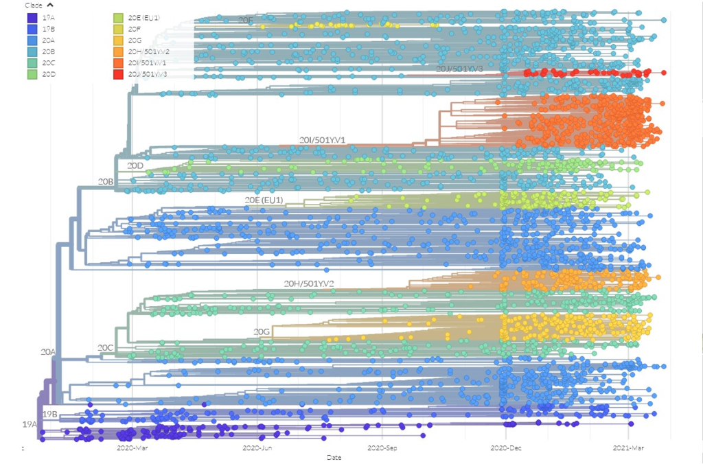 Warianty koronawirusa: czy grozi nam czwarta fala mimo szczepień? OKO ...
